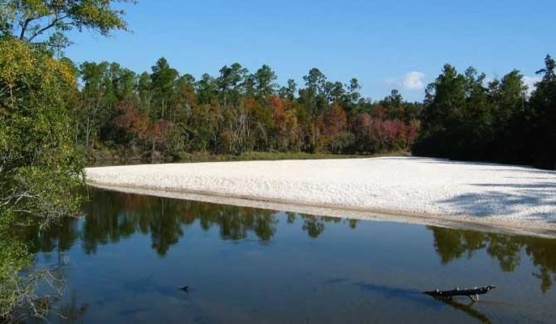 Blackwater River State Park | Visit Pensacola