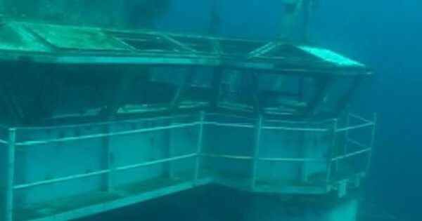 Viking Diving-YMCA Scuba | Visit Pensacola