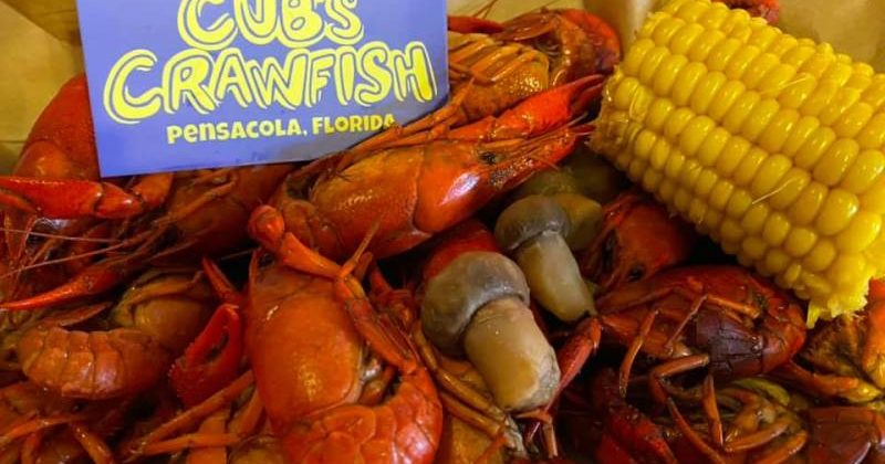 Cubs Crawfish | Visit Pensacola