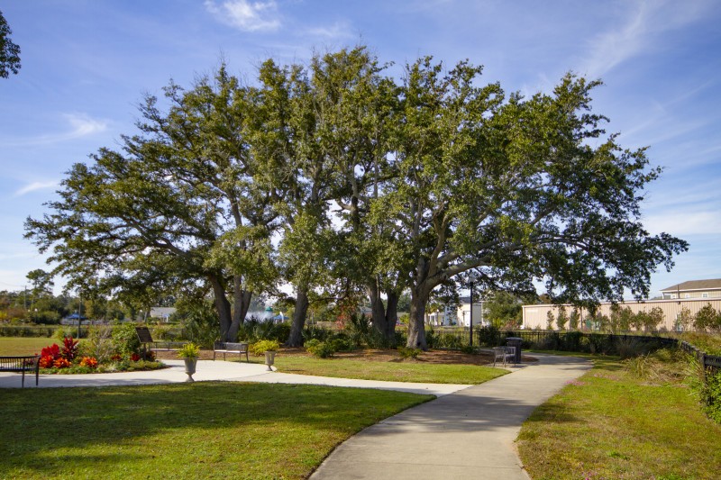 Corinne Jones Park | Visit Pensacola