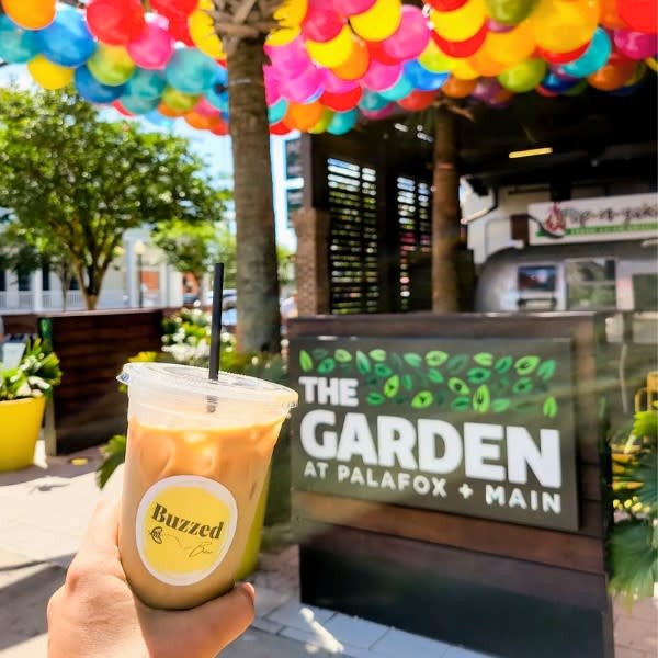 Buzzed Brew Coffee | Visit Pensacola