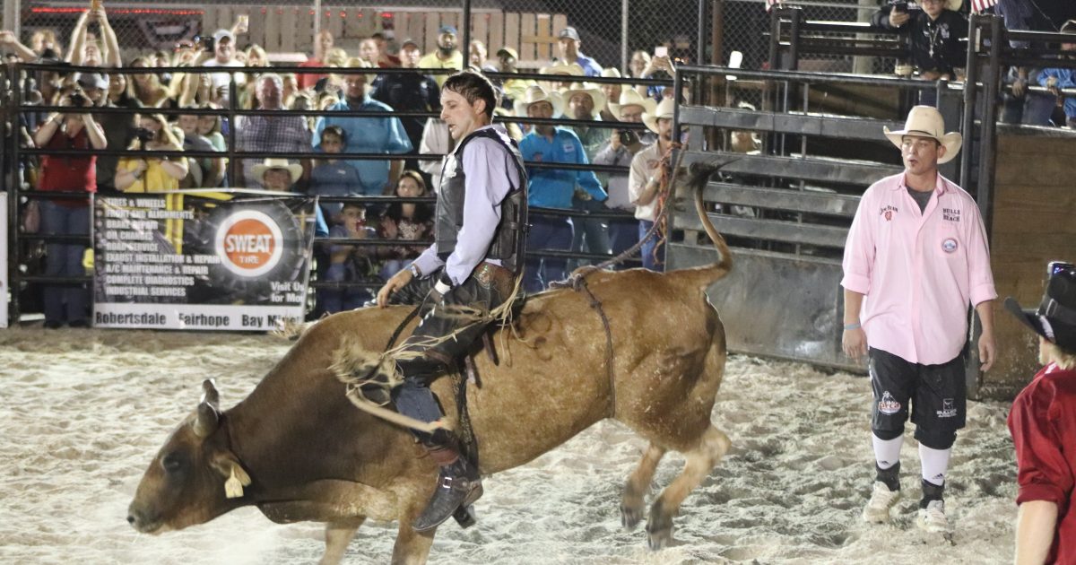 Bulls on the Beach | Visit Pensacola
