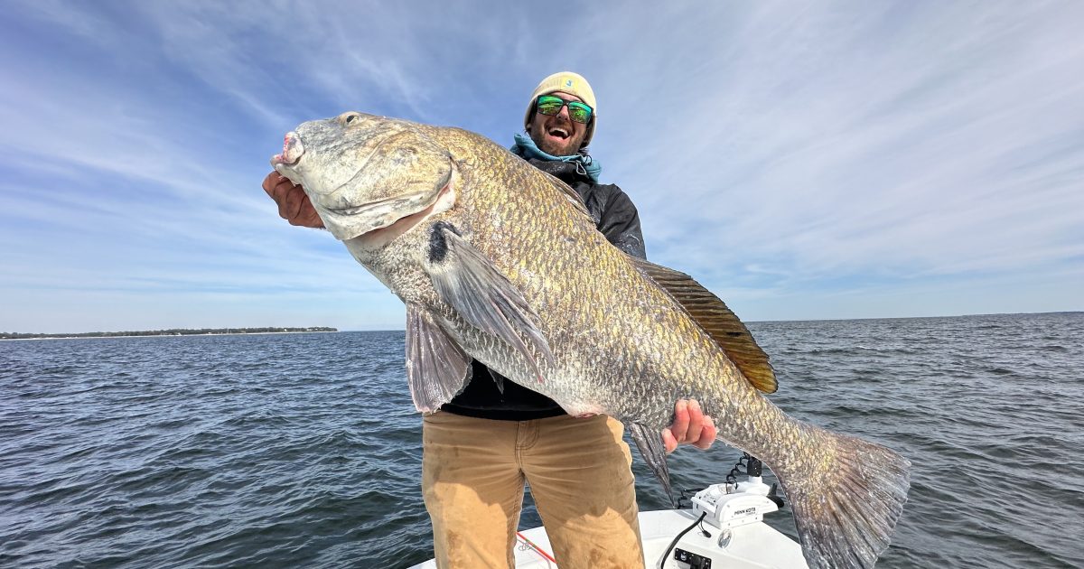 Seasonal Fishing Guide: Pensacola Beach and Perdido Key | Visit Pensacola